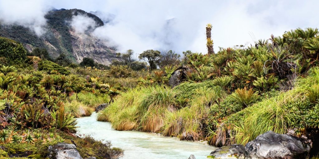 Protecting the páramos in Colombia – The Esperanza Project
