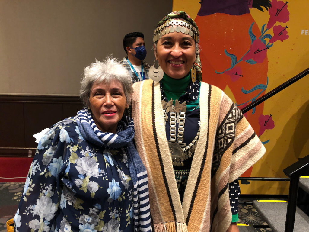 Moira Millán: 'A telluric movement is awakening the women of the Earth ...