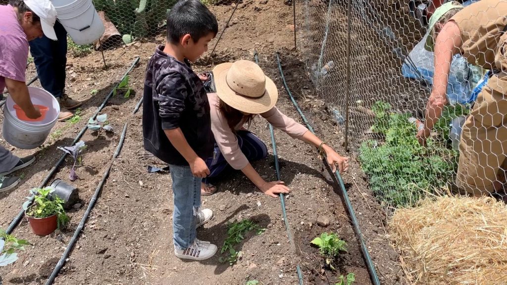 Tikkun Eco Center : Spreading seeds of change – The Esperanza Project