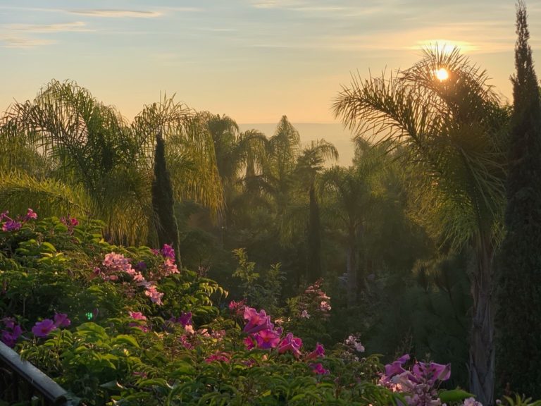 Tikkun Eco Center : Spreading seeds of change – The Esperanza Project