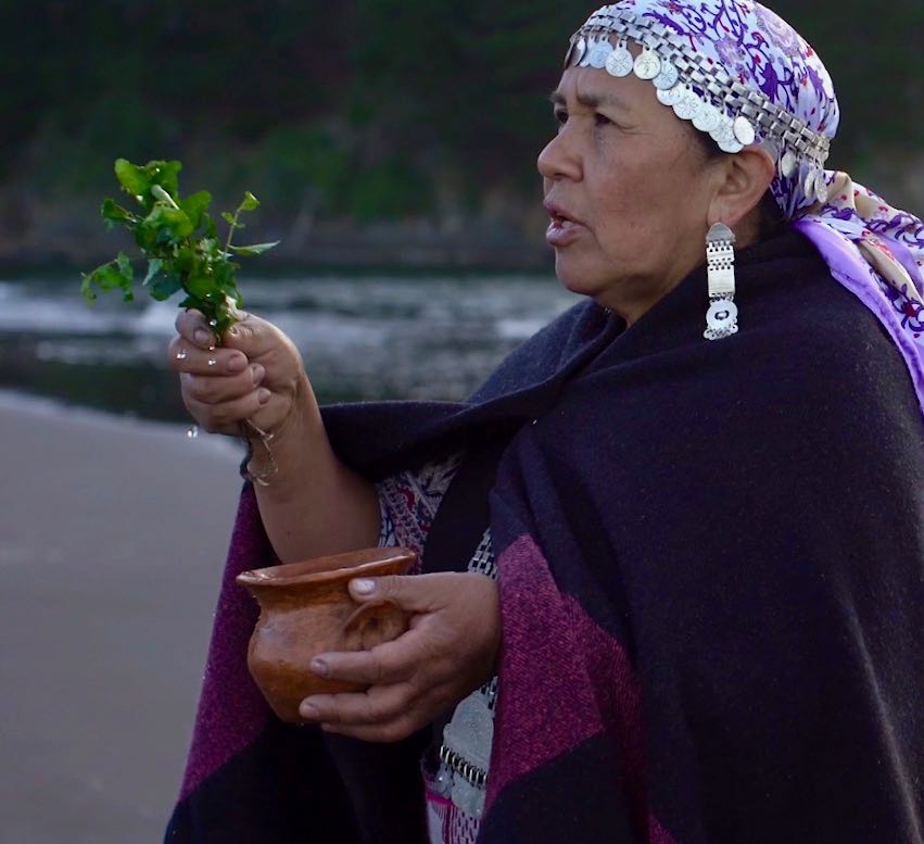 The Mapuche: Cultural Survival in the South – The Esperanza Project